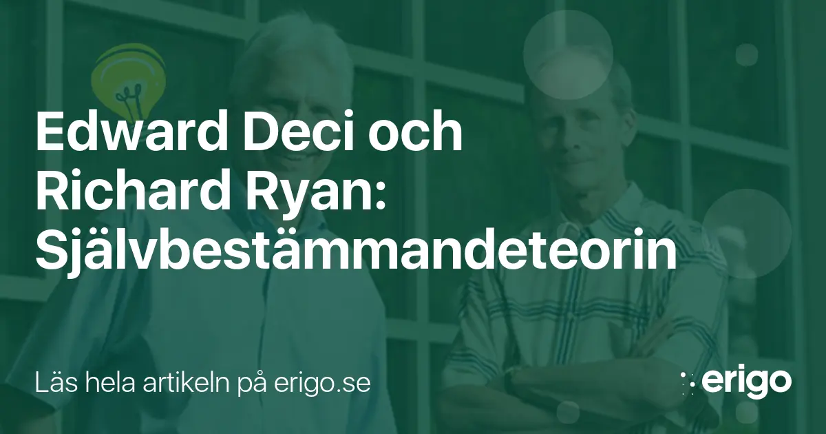 Deci och Ryans Självbestämmandeteori: Nyckeln till mänsklig motivation | Erigo